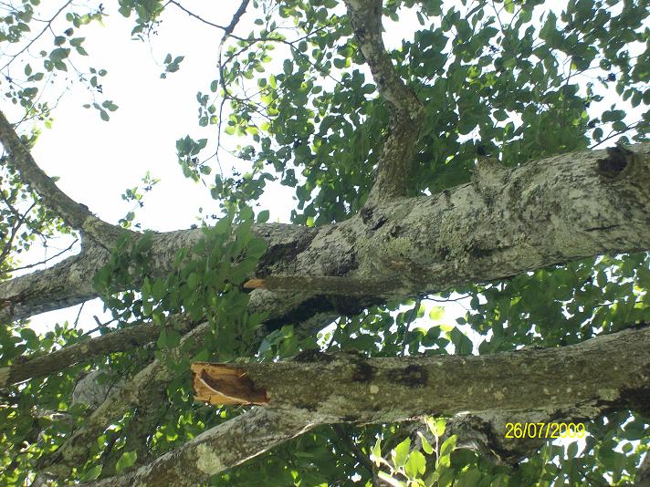 Asociatia "Clubul Rotary Valea Prahovei": BEJGU ALEXANDRU