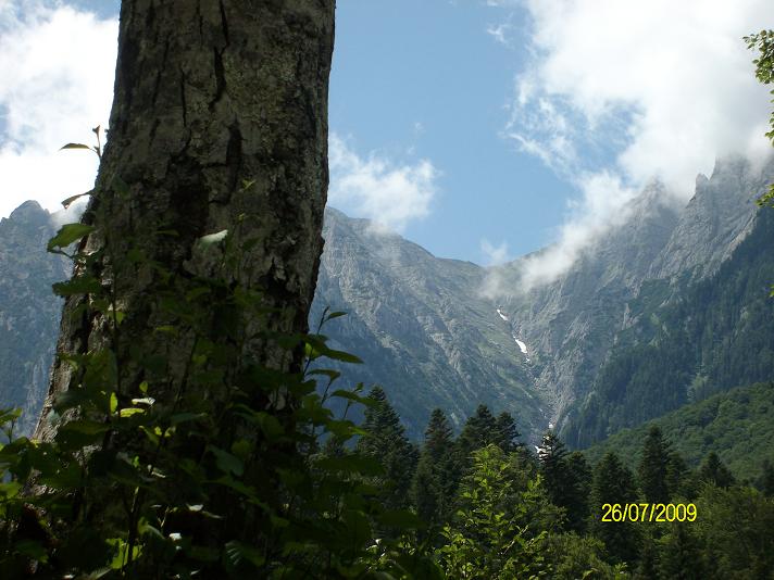 Asociatia "Clubul Rotary Valea Prahovei": BEJGU ALEXANDRU