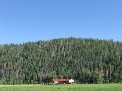 Wild Nature: To hell you ride, Stoner (coloRADo!)