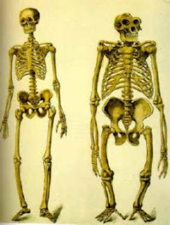 Charles Darwin: • ¿Cuáles son las principales diferencias entre el ...