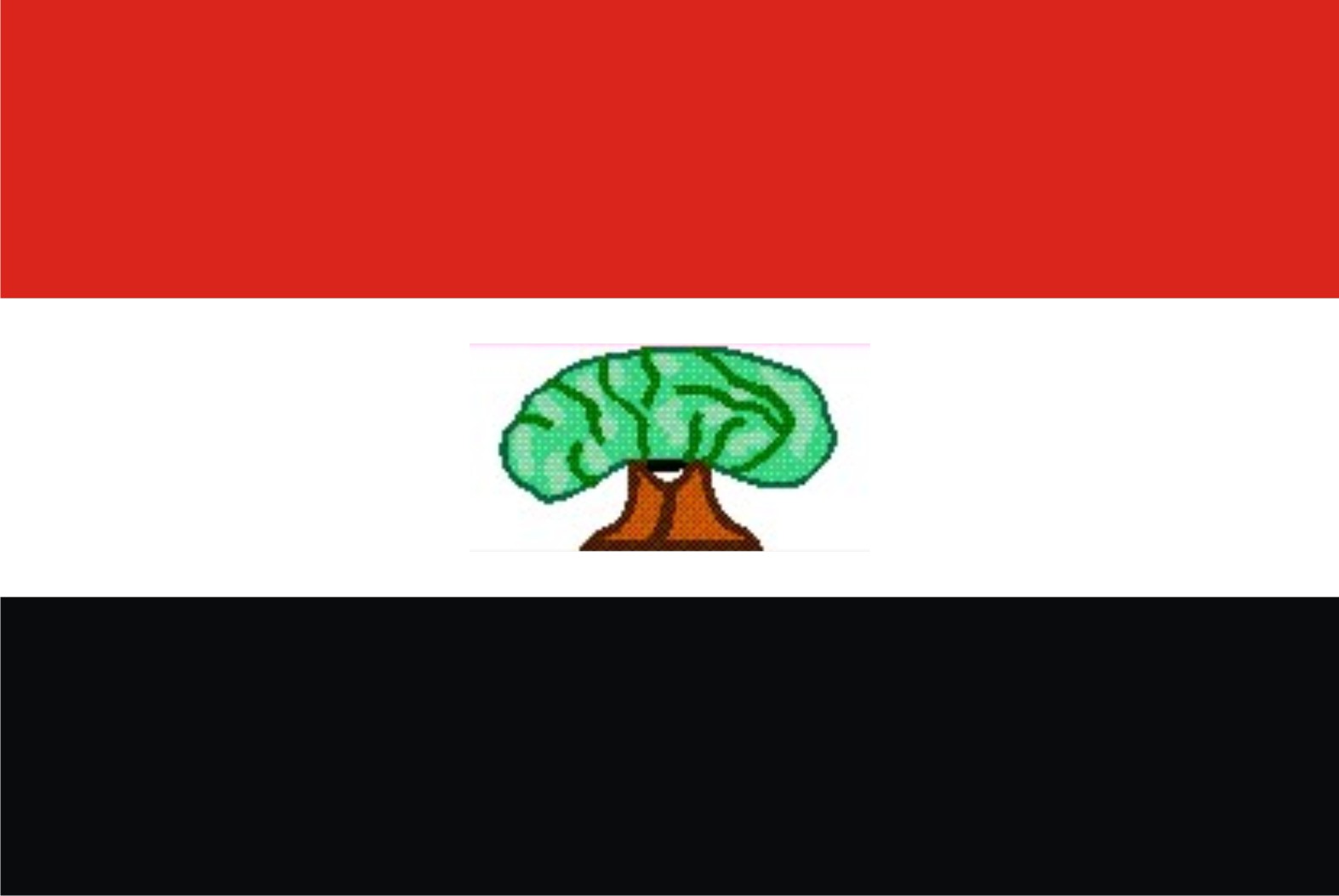 *: Bendera-Regional Ethiopia