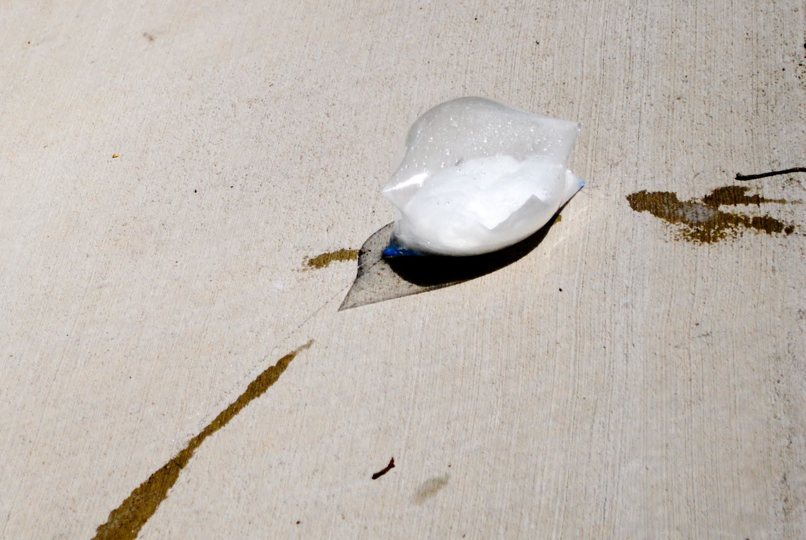 Wid Kids: science week: sandwich bag explosion