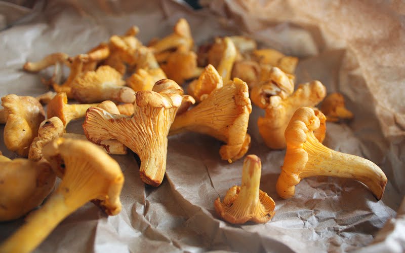 Kantareller og sorte linser | Veganmisjonen