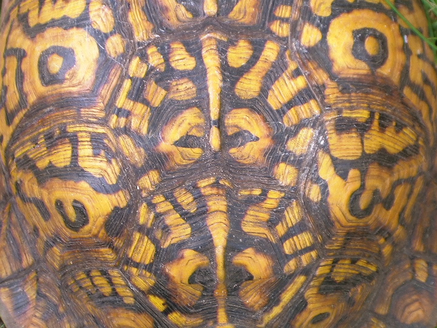 patterns of ink: "Still Waters" Chapter 2