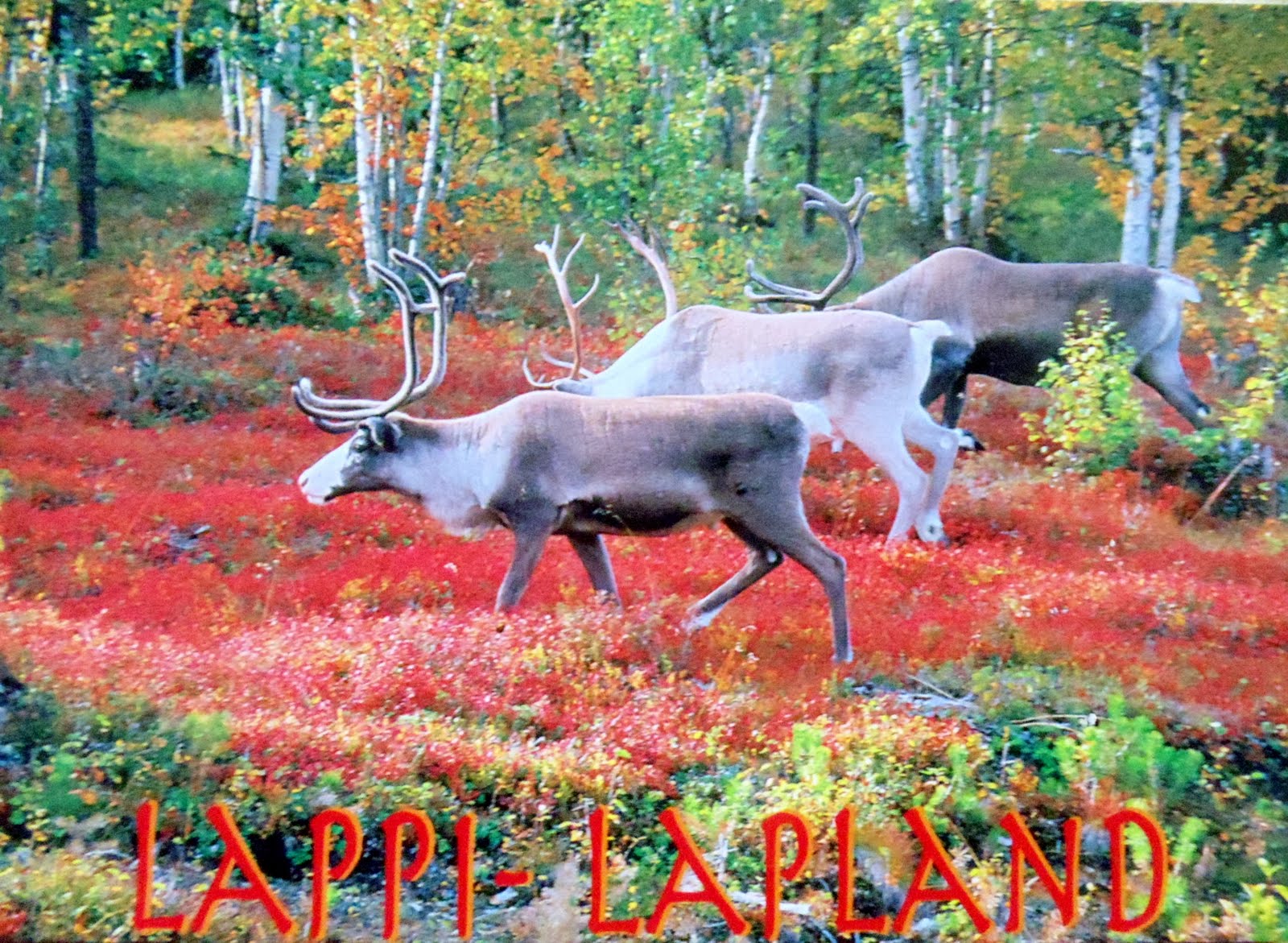 360 Postcards: Finland-Lapland