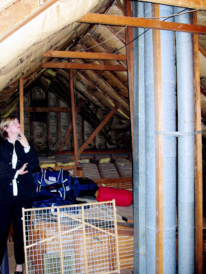 House in Progress: Attic to Aerie