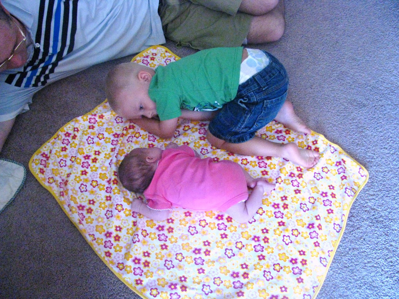 Yellow Mums: FF-Nurturing Poster