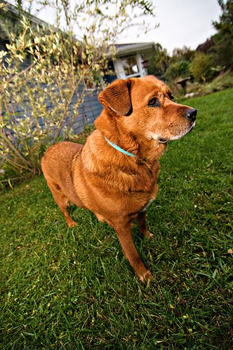 CRAZY LEVELS: Cinematography Explained: Shot Angles