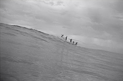 The Year in Pictures: Surfing the Web