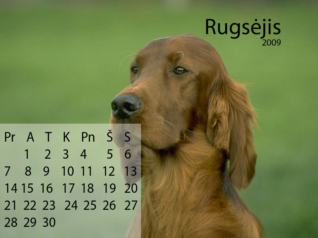 Antanas Granauskas: Kalendorius (su šunimis)