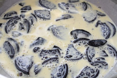 Oreo Cookie Ice Cream Sandwiches | The Frozen Fix: Ice cream, sorbet ...