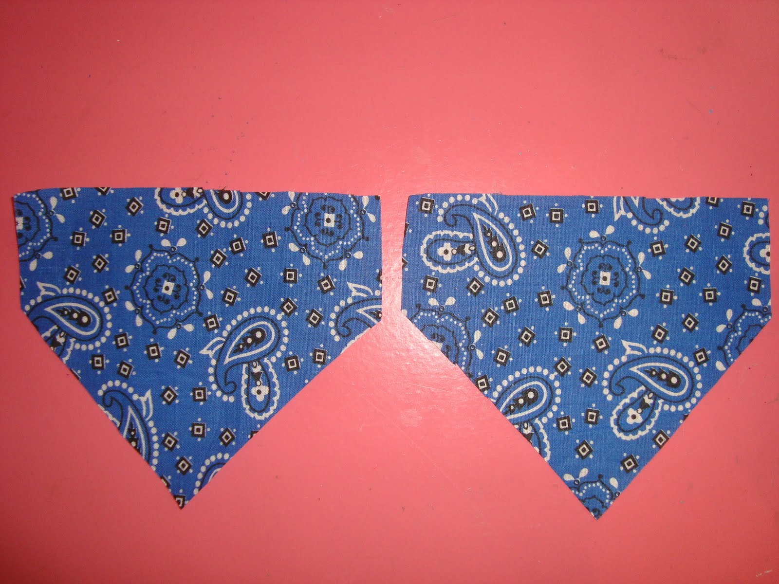 Anngela's Pretty Little Things: Easy Dog Bandana {Tutorial}