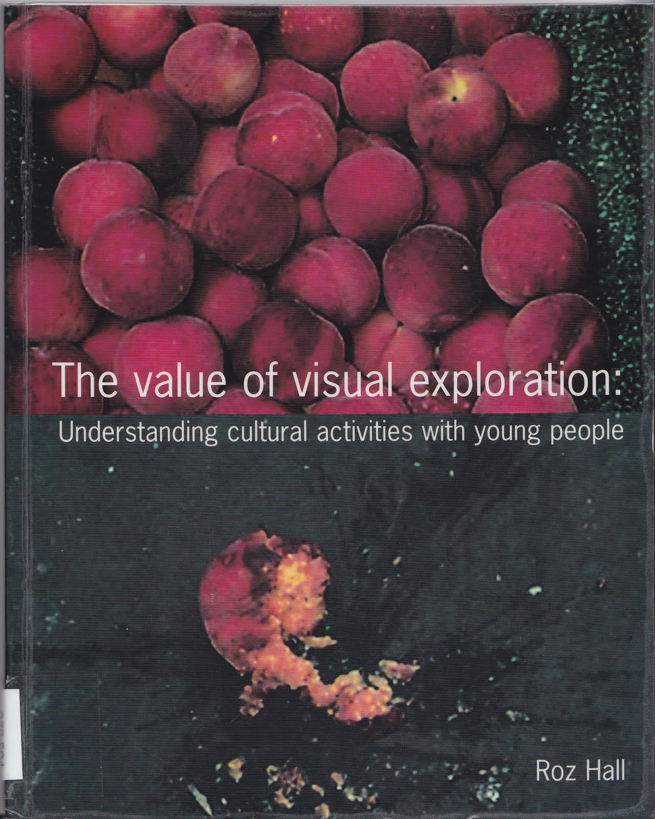 Innovative demonstration: Visual Exploration