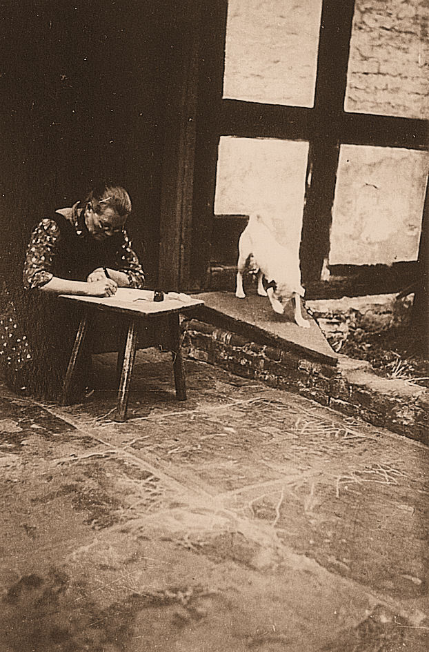 Wish You Well Chapter By Chapter Summary