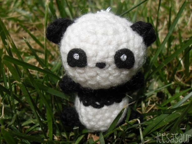 Panda Express Fortune Cookies: