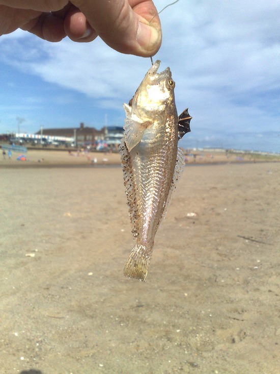 Thirteen too few...: Ouch!