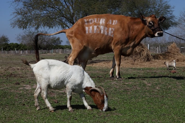 THIS IS SO CONTEMPORARY™: Ron English • The New World order