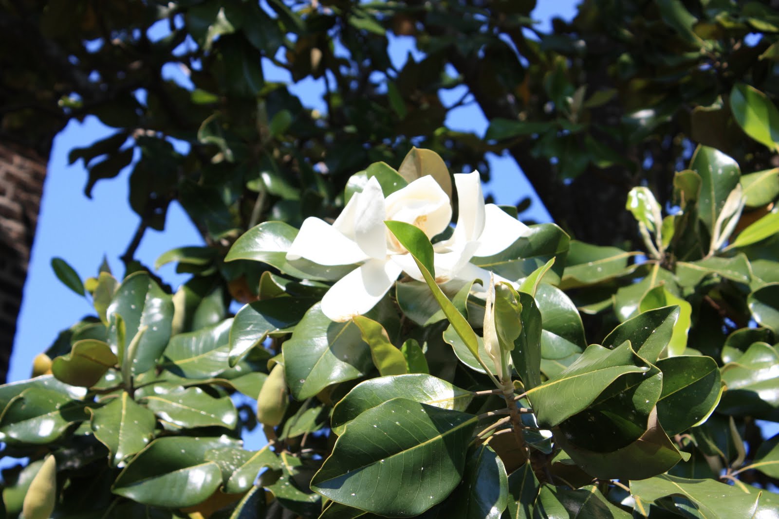 Mar-Kat Delivery to NC