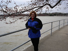 Sandra in Chicago