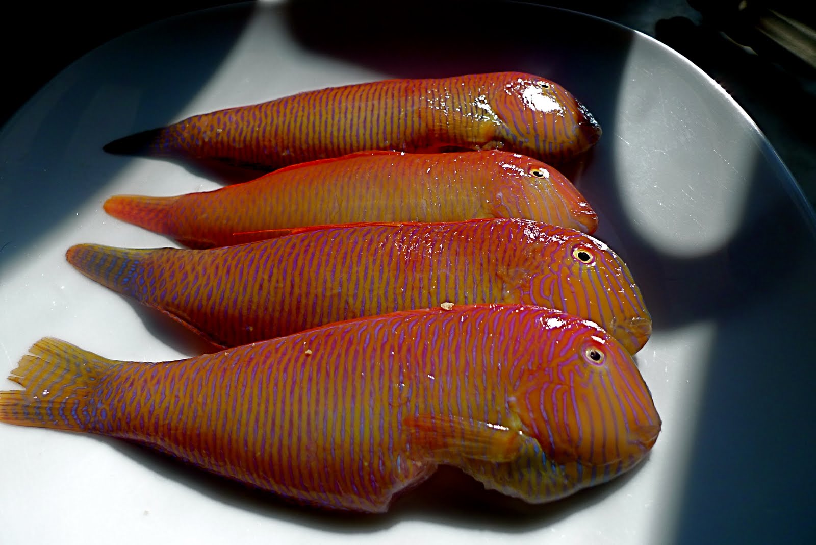 Kidz Fude - Raons ~ Ibiza Chef Blog - Food Cooking Recipes Pics Recipix ...