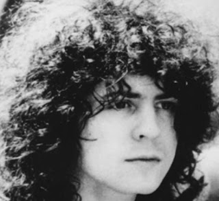 LACERTILIANOS | ¿Qué andas haciendo aquí?: Analogía De Marc Bolan