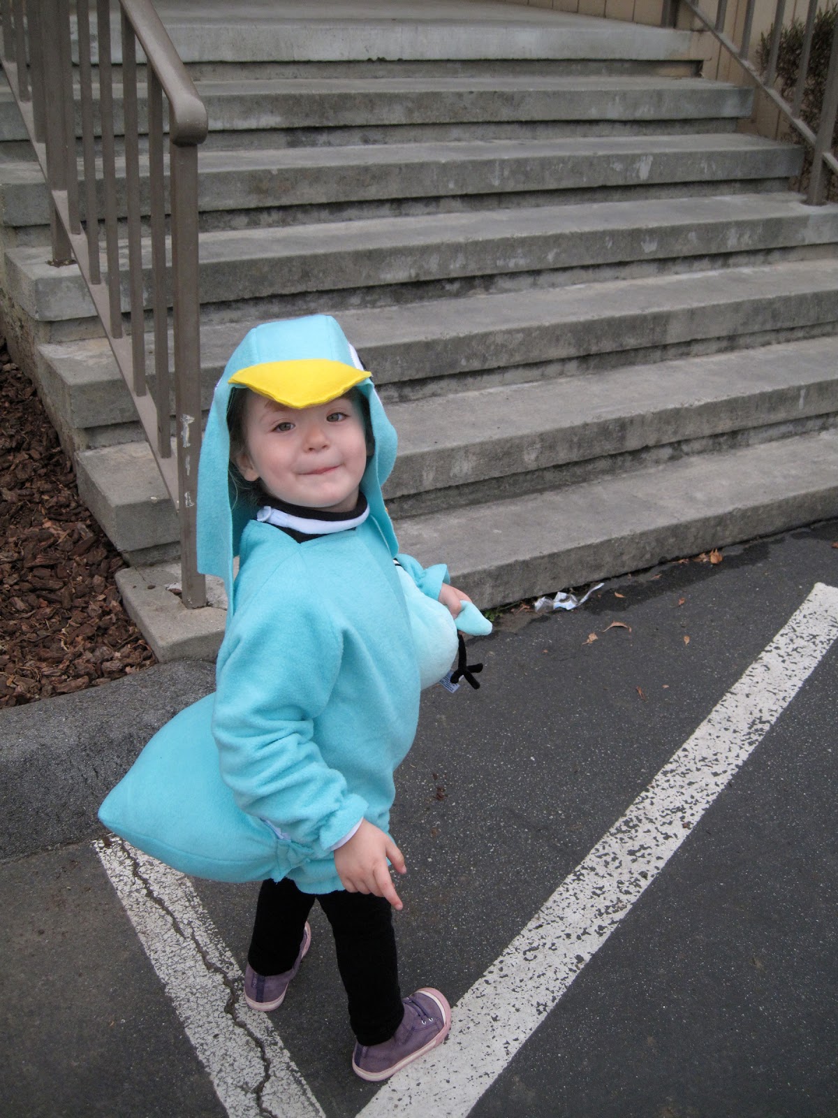 Lucky 13! (a blog): The Pigeon Doesn't Realize How Long It Takes To ...