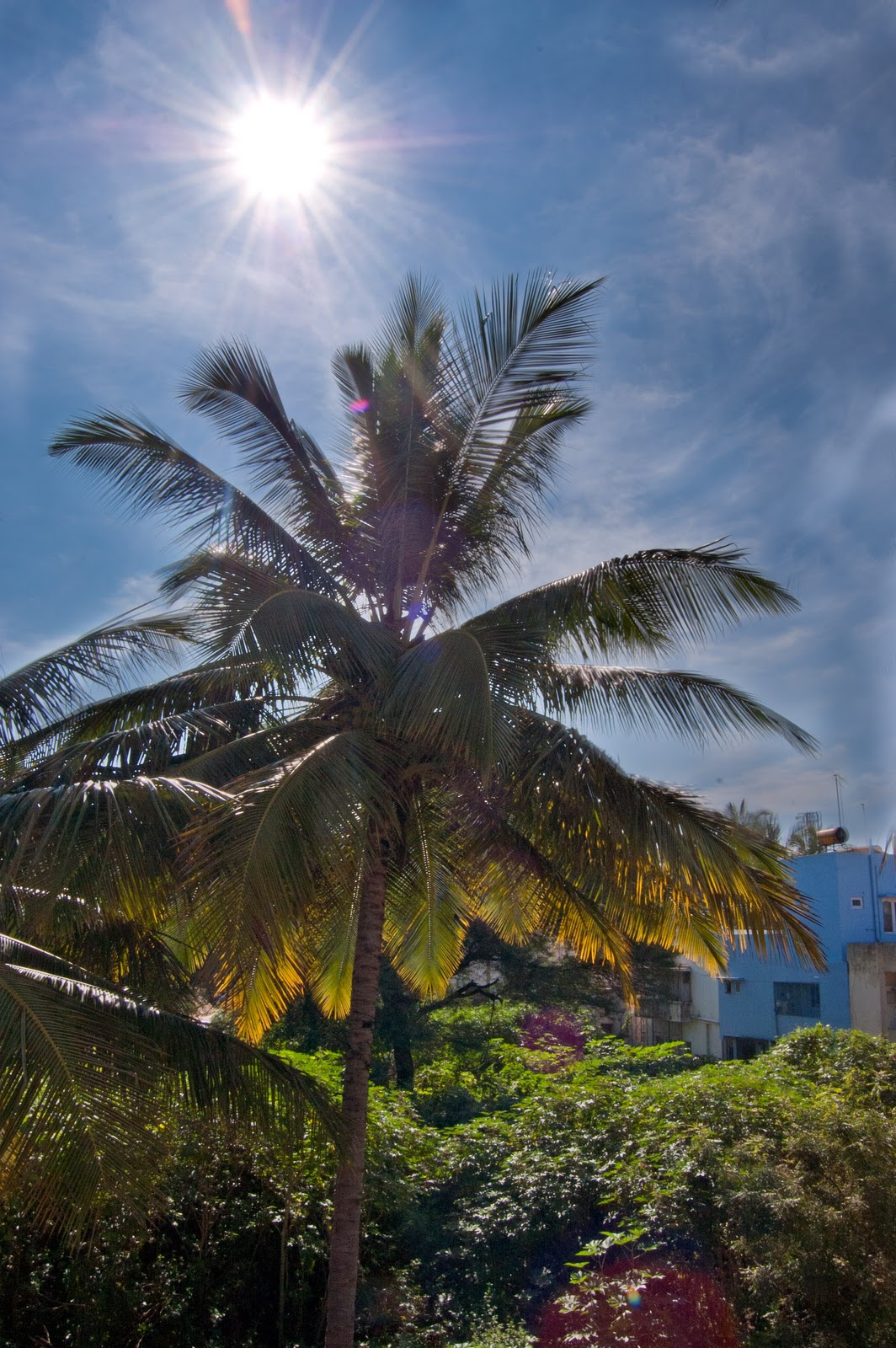 Achieving the sunburst effect with digital camera ~ thru the lens