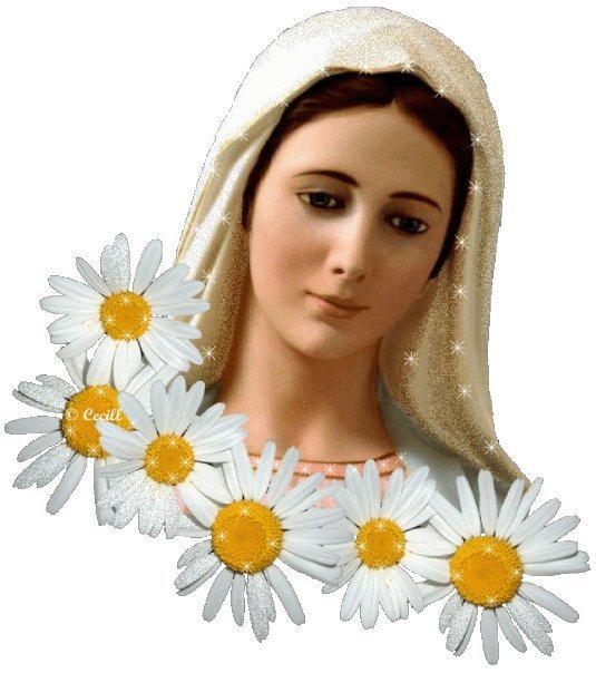 AMIG@S DE MARIA: MARIA, LA VIRGEN TODA HERMOSA