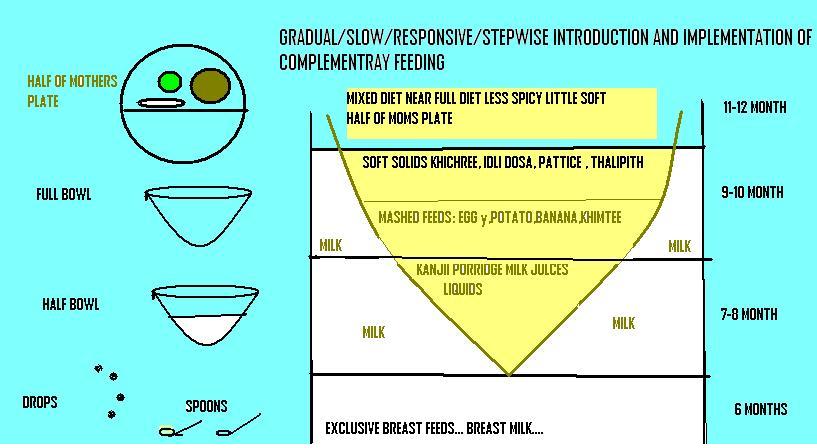 infant feeding: online consultant Mumbai INDIA: complementary feeding