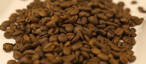 BISNES SON BUSINESS: CAFÉ DE PUNO ES EL MEJOR DEL MUNDO