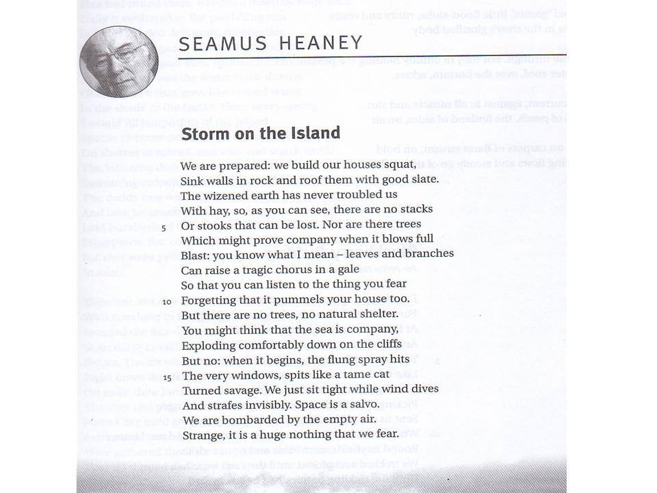 DanielleREnglishlit: Seamus Heaney - Storm On The Island