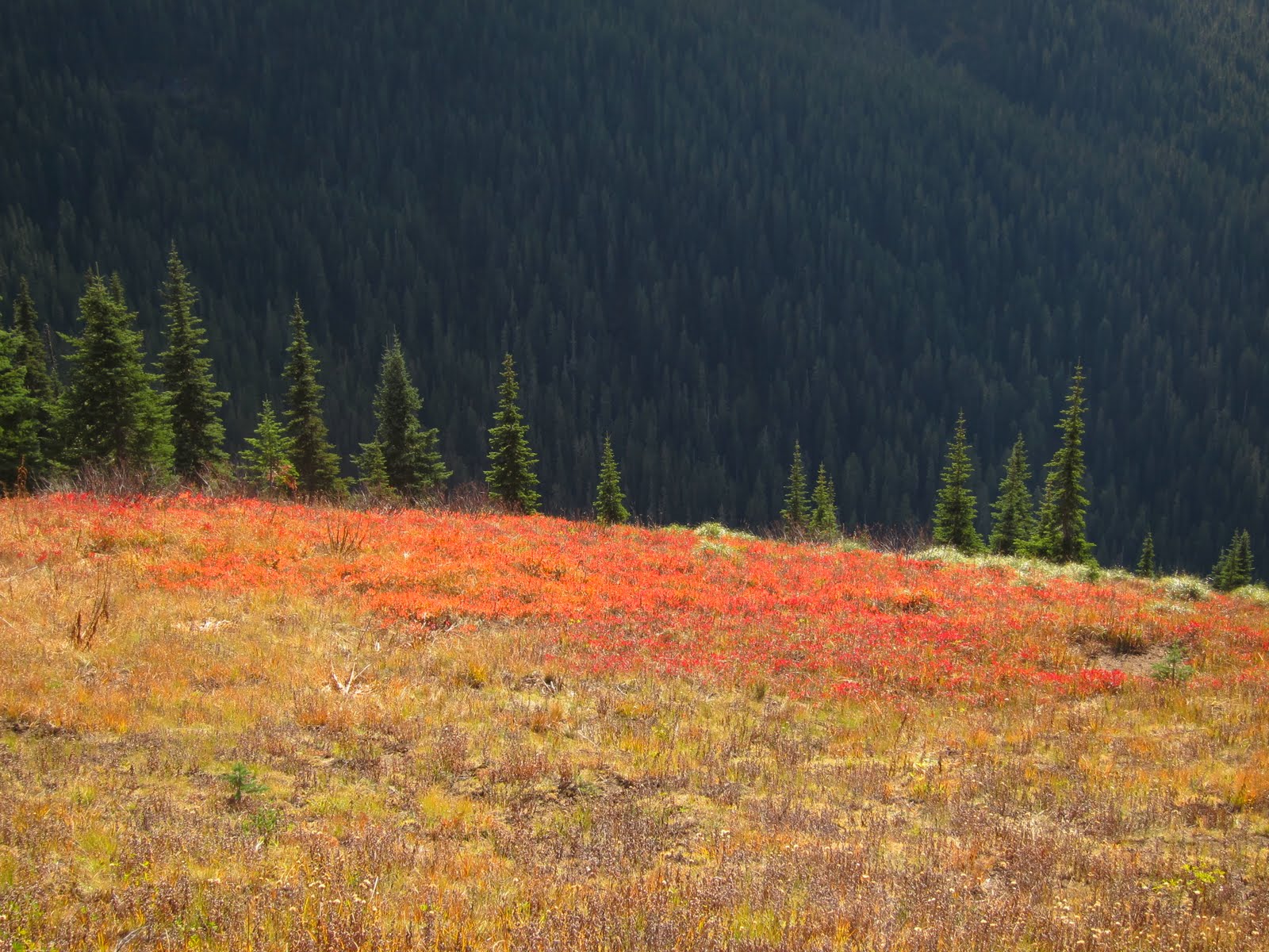 Pacific Northwest Seasons: Northwest Fall Road Trip: Hiking Naches Peak ...