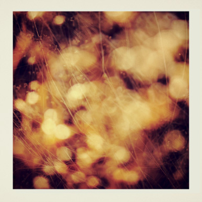 Blurry things – 79 ideas