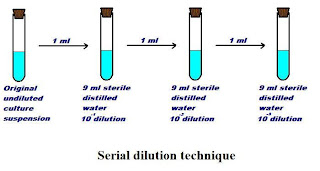 Principle Microbiology: Serial dilution method