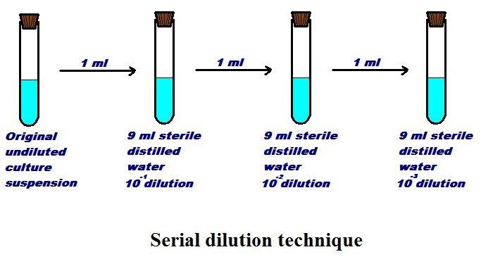 Principle Microbiology: Serial dilution method