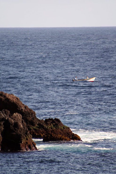 Momentos ...: Reportagem RTP AÇORES