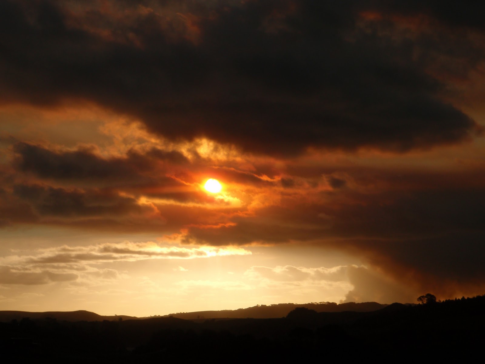 cabbage tree farm: Big fire on the horizon at sunset plus crescent moon