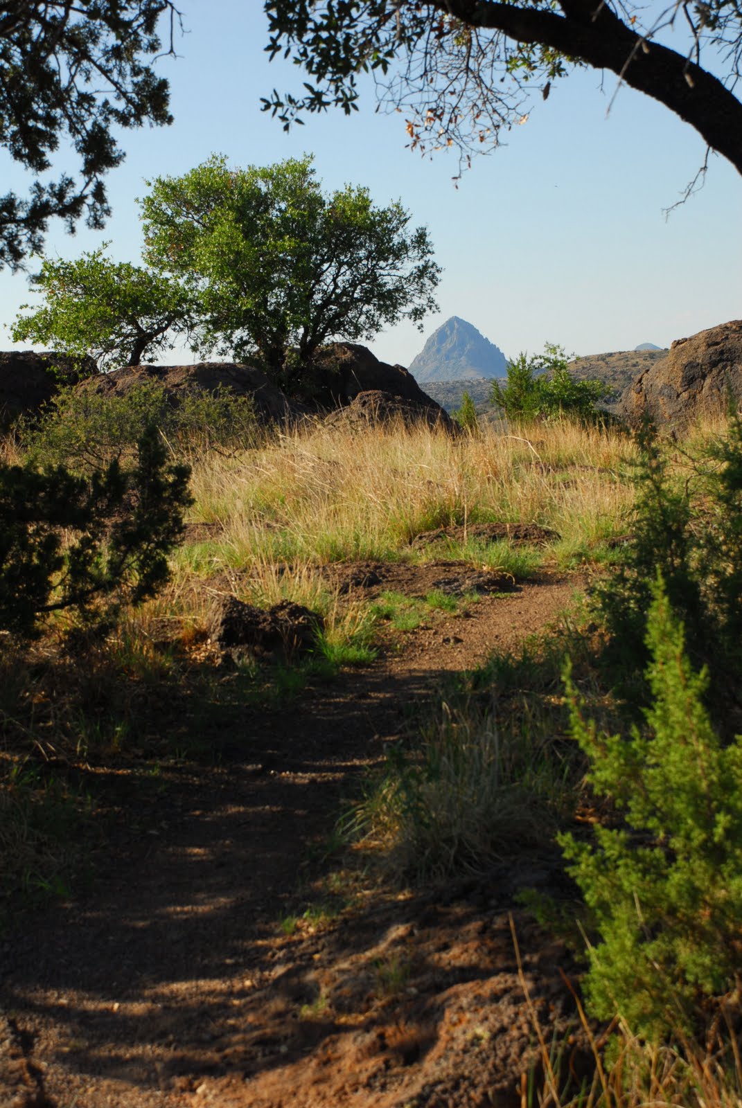 Texas Mountain Trail Daily Photo: Hummingbird Trail and Pollinator Garden
