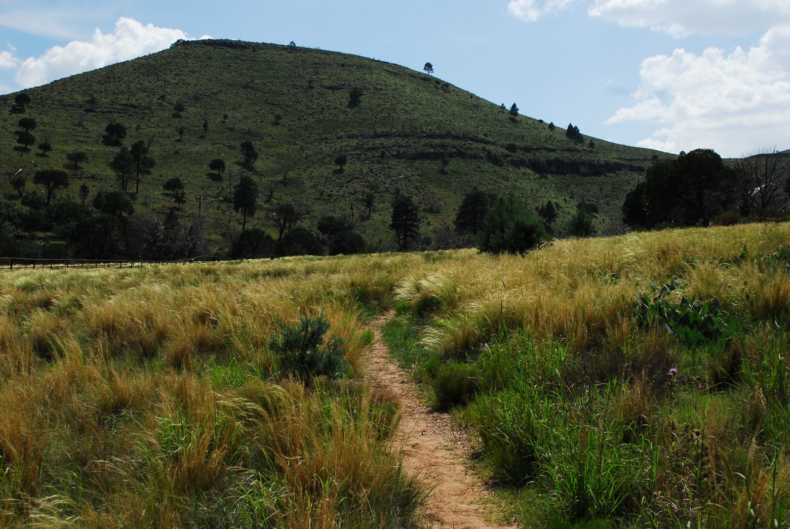 Texas Mountain Trail Daily Photo: Views of Dog Canyon, Guadalupe ...
