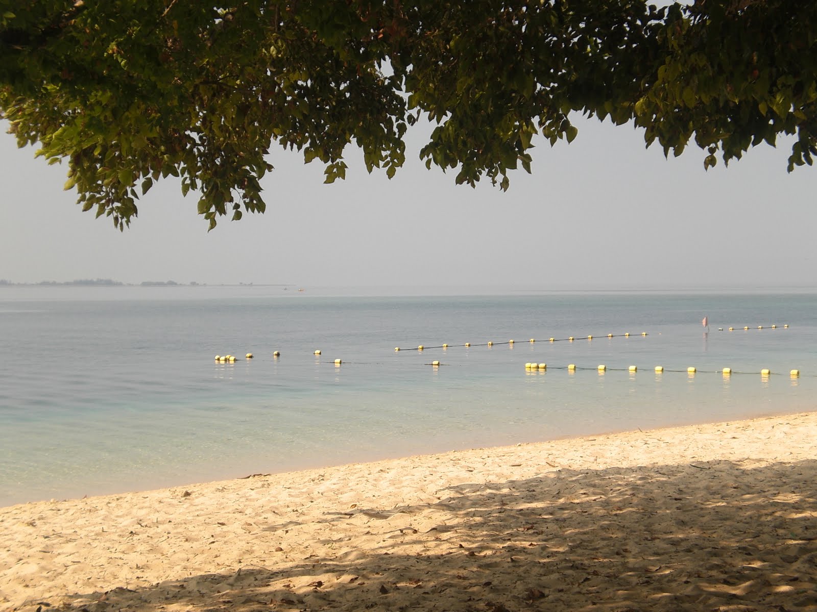 They Call Me Baet: Destination: Potipot Island