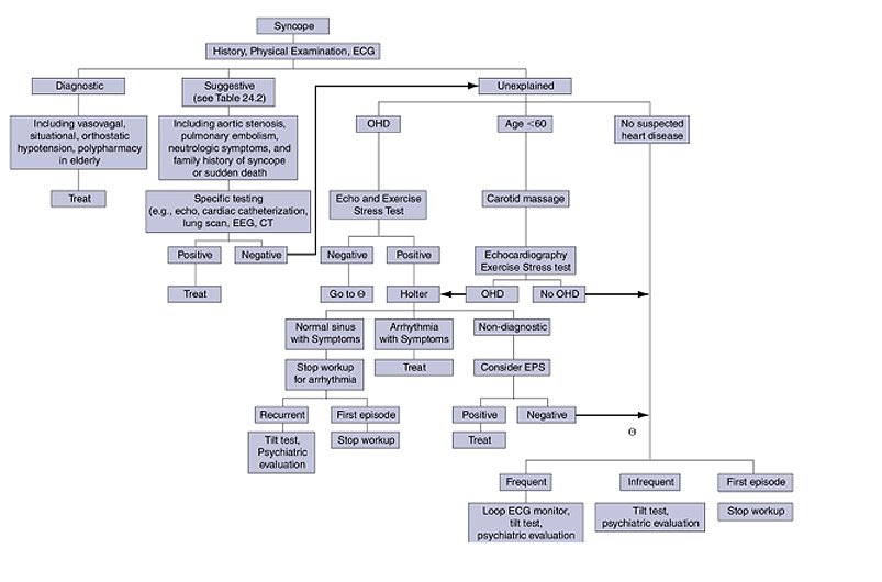 Medical Textbook in The Net: Syncope