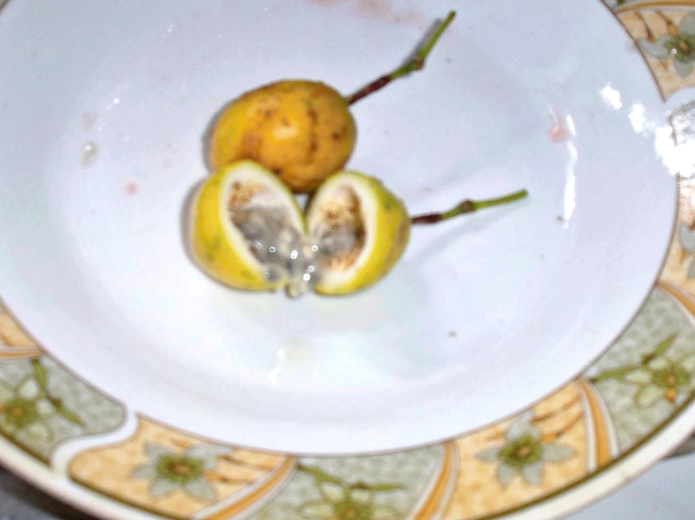 From the Backdam to the Fireside: Fruits of Guyana 2: Sumatoo