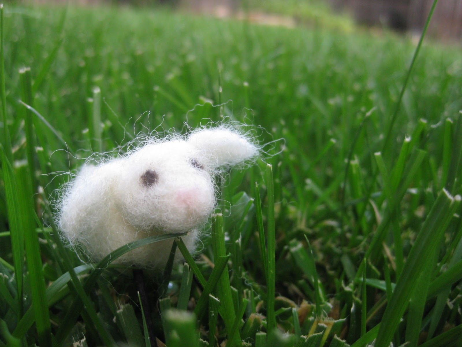 april's craft nest: wool lamb