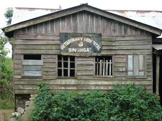 V A P H U A L I Z A T I O N: Mother, should I trust the government?