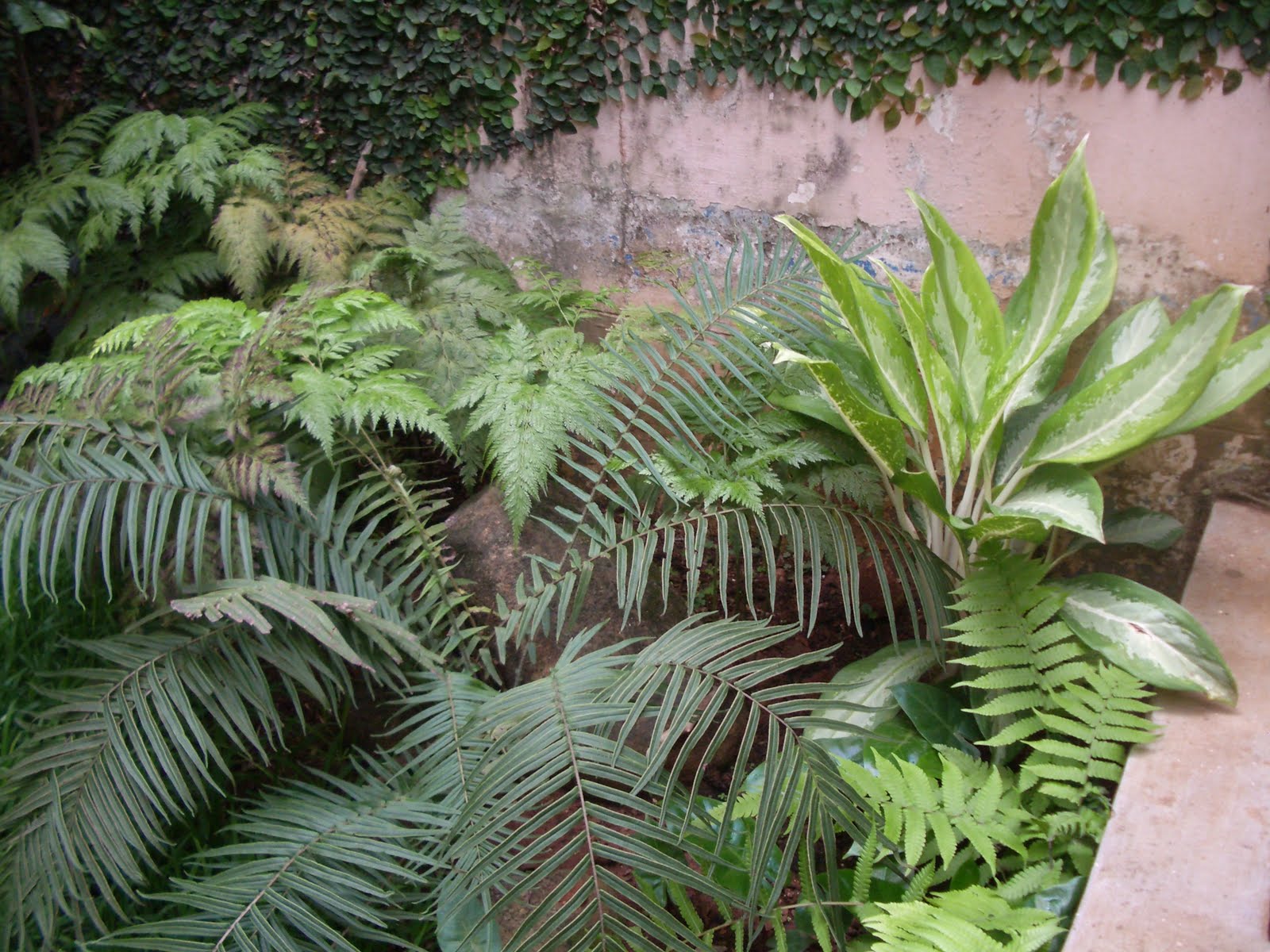 oxygen for the soul: Unappreciated stalwarts