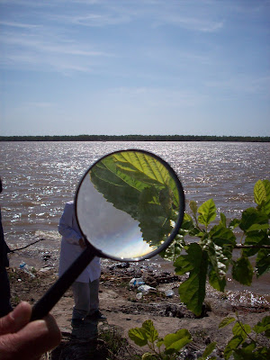 Escuela 2 de Abril: Mirar con lupa