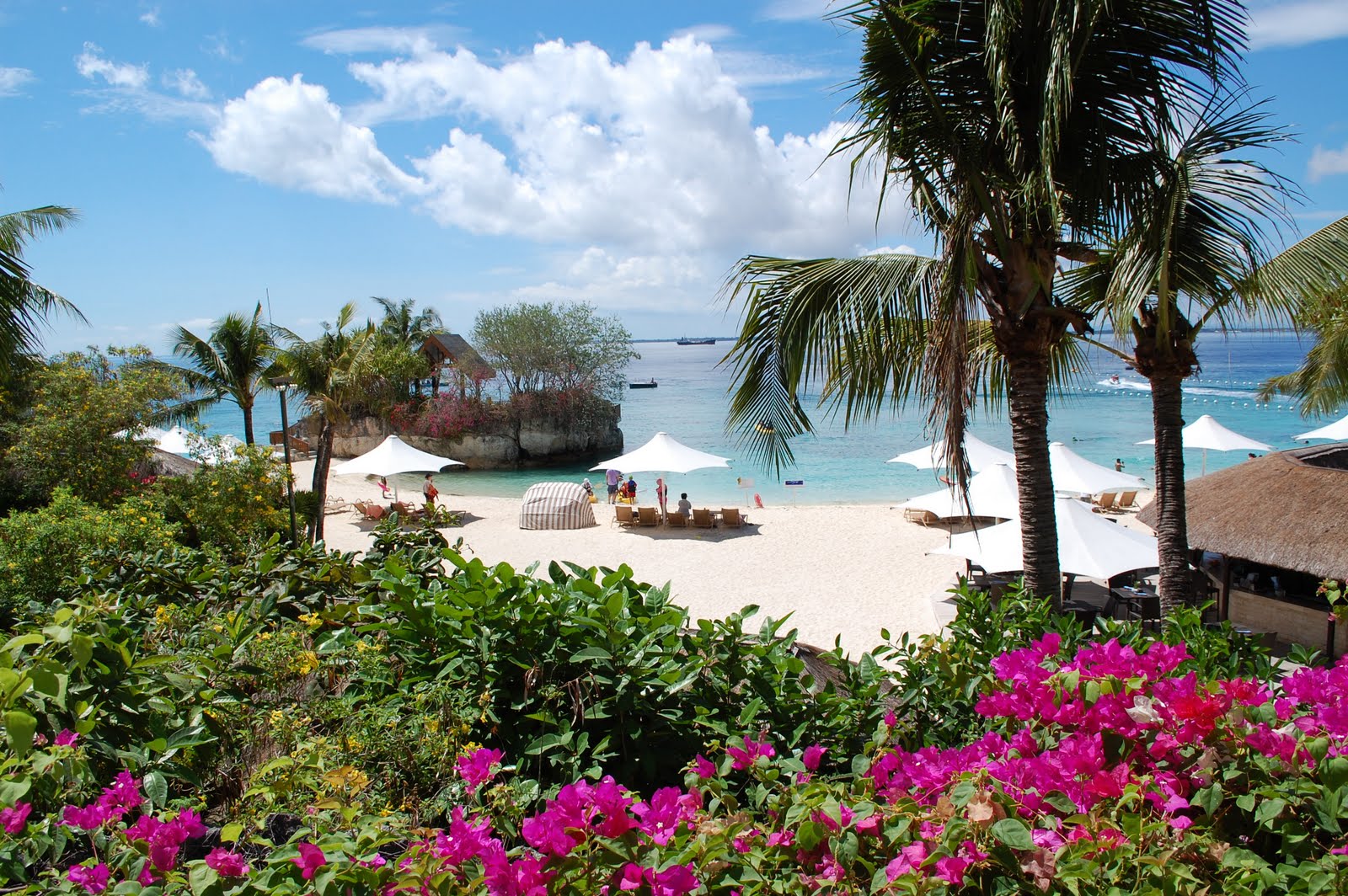 Our Yuppie Life: Cebu in living color