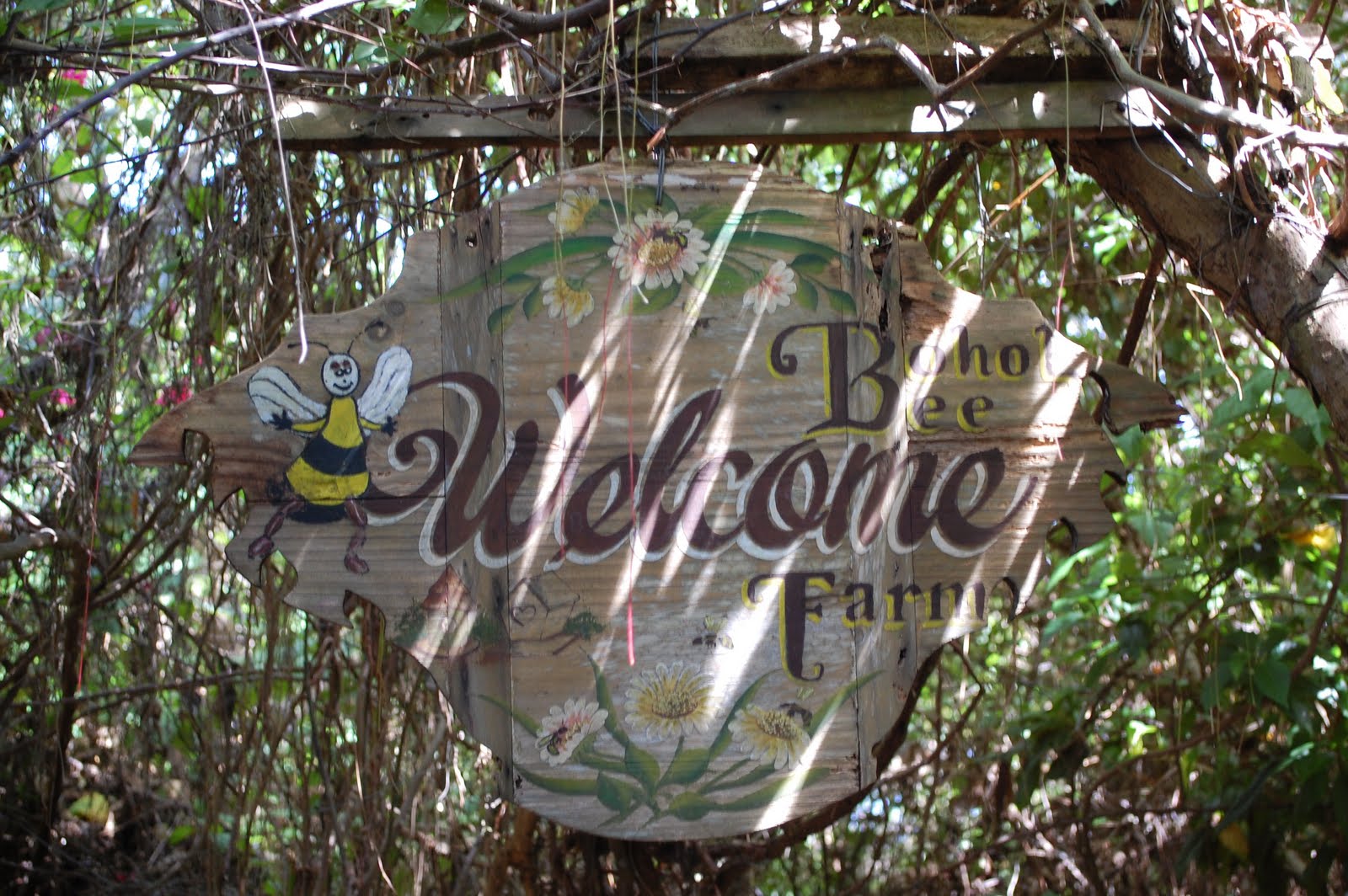 Our Yuppie Life: Bohol Bee Farm