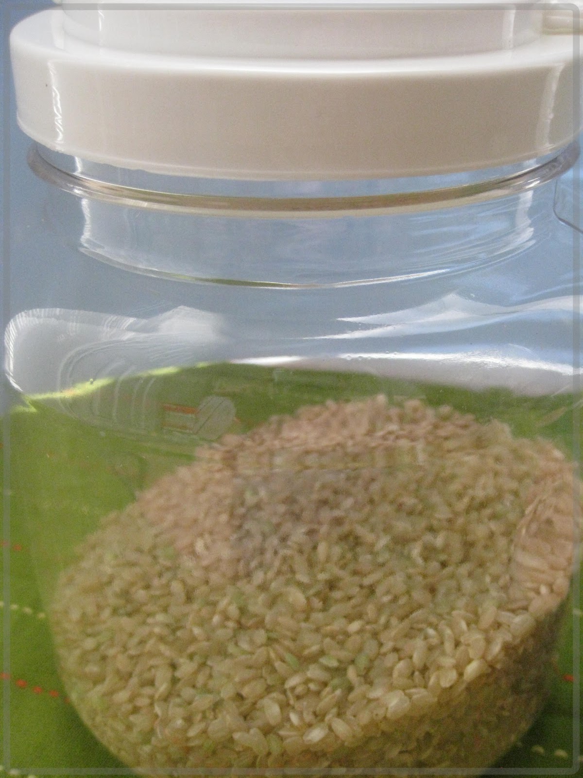 The Spice Rack: Perfectly Cooked Brown Rice