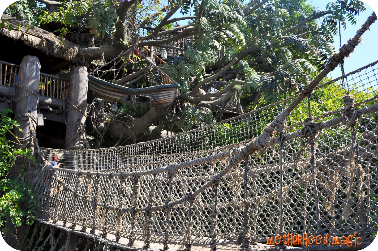 Motherhood Magic: Wordless Wednesday -Tarzan's Treehouse Disneyland